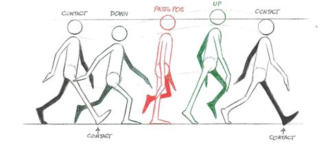 Walk Cycle Rotoscoping Walking Animation Animation Reference