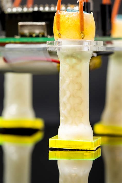These New Soft Actuators Could Make Soft Robots Less Bulky