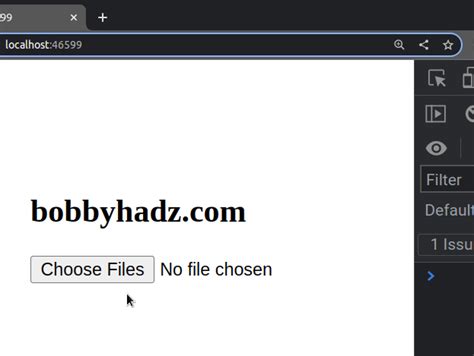 limit the maximum files chosen or the file size in js input bobbyhadz