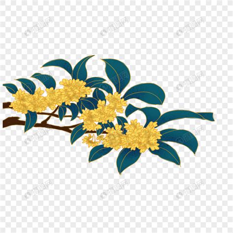 桂花元素素材下载 正版素材401637051 摄图网