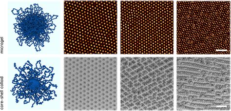 soft colloids for complex interfacial assemblies pnas