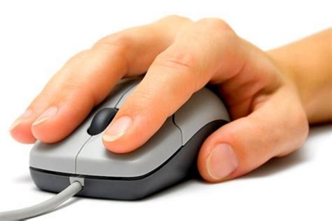 Computer Mouse Pointer Mouse Button Point And Click Clip Art PNG