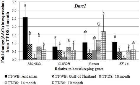 Relative expression levels in term of fold change ΔΔCt of a known