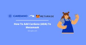 How To Add Cardano ADA To Metamask 2 Methods
