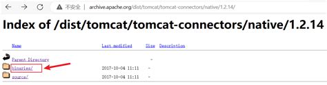 springboot项目启动报错：an incompatible version [1 1 22] of the apache tomcat native library is