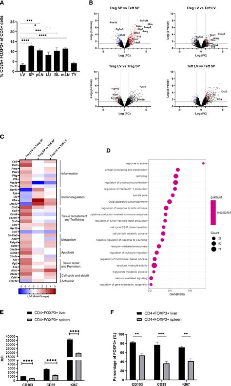 Frontiers IL 2 Availability Regulates The Tissue Specific Phenotype