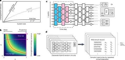 Measurement Induced Entanglement Phase Transition On A Superconducting