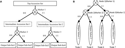 frontiers distinguishing hapmap accessions through recursive set partitioning in hierarchical
