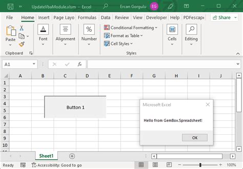 VBA Macros In Excel Worksheets Using C And VB NET
