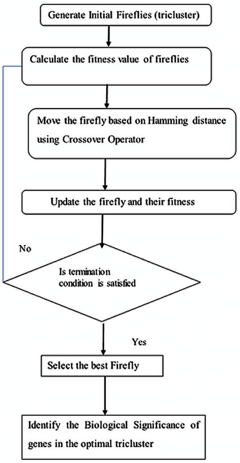 flowchart for discrete firefly optimization based triclustering model download scientific diagram