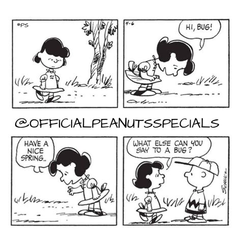 Pin By Diane Vessels On Charlie Brown And Friends Snoopy Cartoon Snoopy Funny Charlie Brown