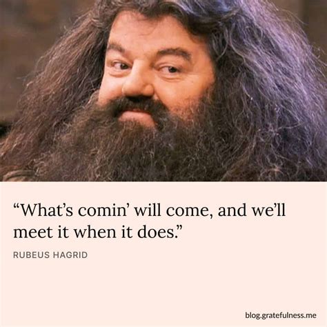 50 Wise And Nostalgic Harry Potter Quotes The Sorting Hat Would Pick