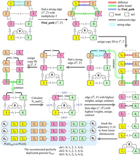 figure 1 from a graph algorithm for linearizing simul