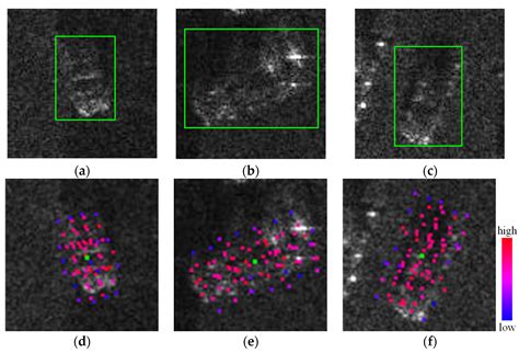 remote sensing free full text vehicle target detection network in sar images based on