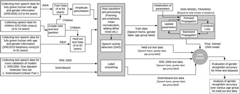 step by step description of the gender recognition system development download scientific