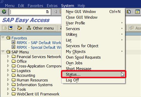 How To Check Your SAP ERP System Version SAPported
