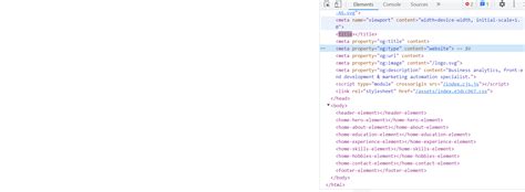 lit element how to prepare nfig ts for `build` website designed with vitejs and lit