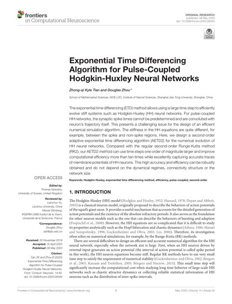 pdf design fast algorithms for hodgkin huxley neuronal networks