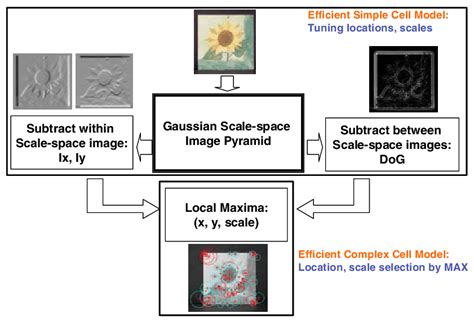 computationally efficient perceptual part detection scheme download scientific diagram