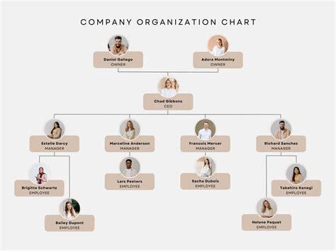 Minimalist Gold Company Organization Chart Organizational 57 OFF
