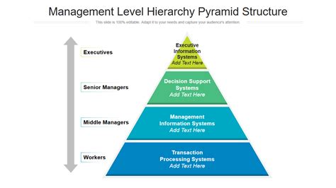 Top 7 Hierarchy Pyramid Templates With Examples And Samples