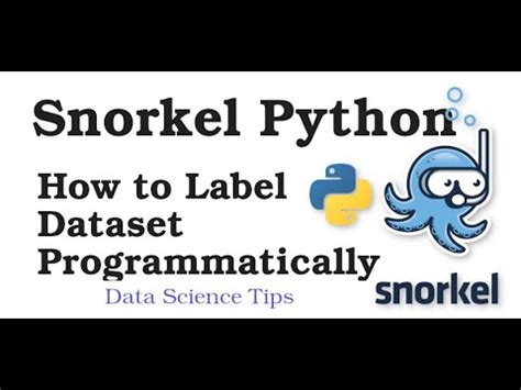 Snorkel Python Tutorial How To Programmatically Label Datasets Audio