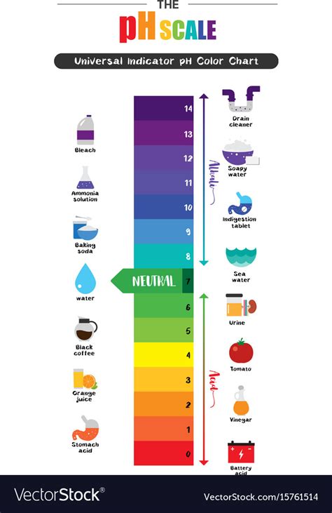Ph Scale Universal Indicator Color Chart Vector Image