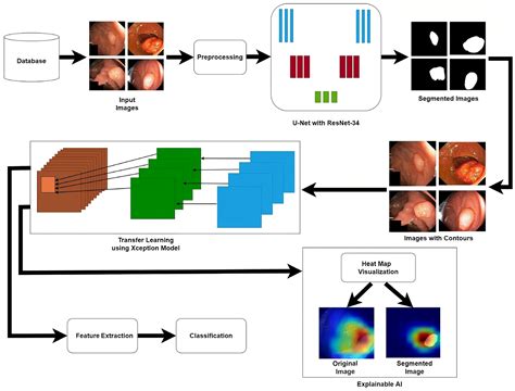 applied sciences free full text localization and classification of gastrointestinal tract