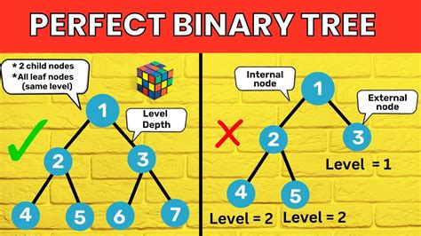 perfect binary tree tree data structure data structures and algorithms coding with clicks