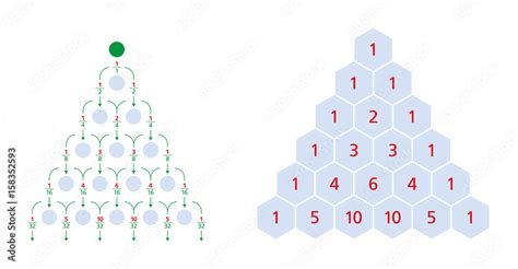 galton board normal distribution and pascal s triangle a triangular array of the binomial