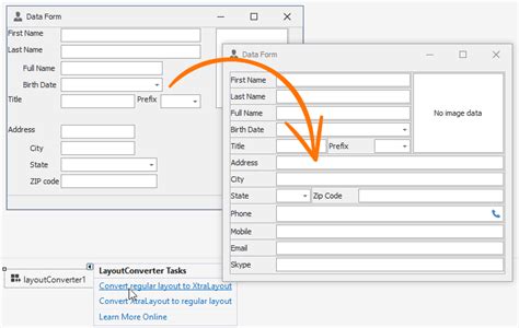 WinForms Automatic Form Layout UI Design Control DevExpress