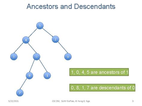 binary tree expression tree huffman tree tree traversals