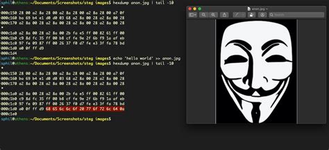 github lucthienphong1120 basic steganography basic steganography using python by injecting