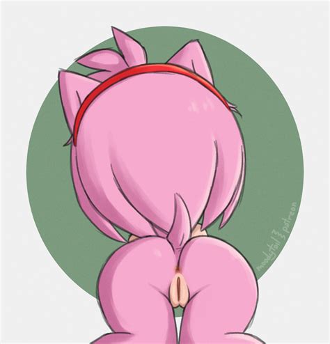 Rule 34 1girls 2022 Accessory All Fours Amy Rose Anthro Anus Ass Butt Focus Close Up
