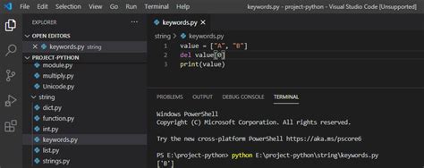 python keywords with examples python guides