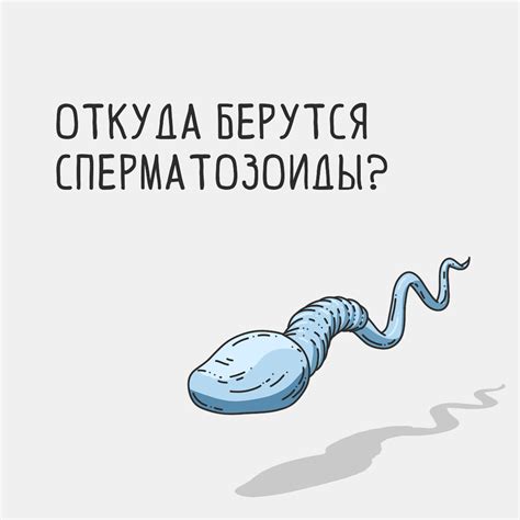 Сколько Нужно Дрочить До Спермы Telegraph