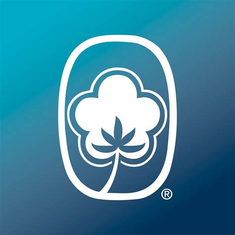 Riegel Federal Credit Union - Dallascollege Innovation