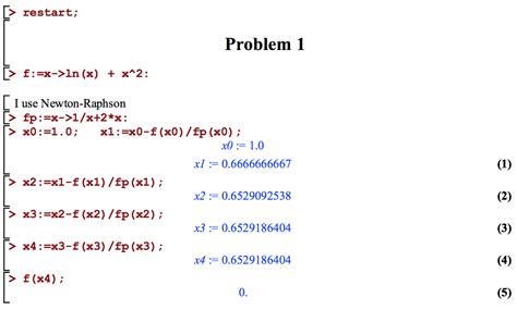 example of newton raphson method