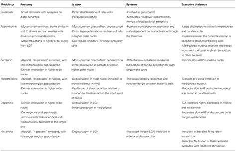 Frontiers Thalamic Neuromodulation And Its Implications For Executive
