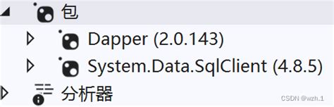 core mvc实现orm框架dapper 连接数据库以及一些配置 orm轻量级框架dapper访问sql数据库 csdn博客