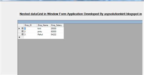Nested DataGrid Or Expandable And Collapsible Rows In Datagrid In C