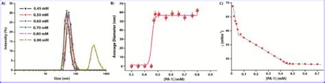 a intensity weighted distribution of particles obtained from dls download scientific diagram