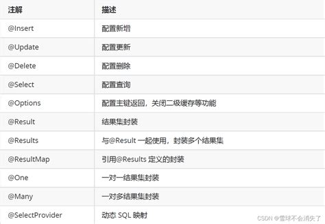 mybatis的注解开发 csdn博客