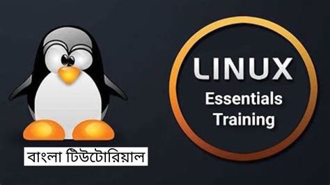 Linux Essentials Bangla Tutorial Fundamental Of Linux Full Course