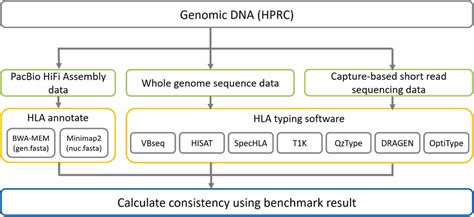 a novel framework for human leukocyte antigen hla genotyping using probe capture based