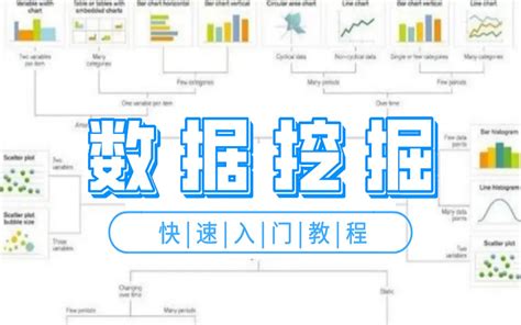 【python数据挖掘】数据挖掘类比赛快速入门教程 流程 案例实践 哔哩哔哩 bilibili