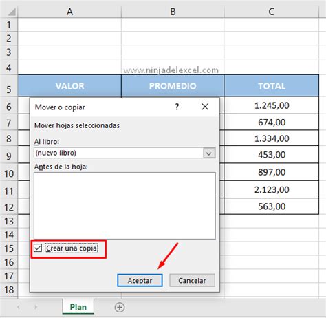Cómo Duplicar una Planilla en Excel Ninja del Excel