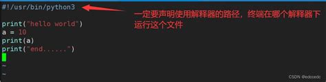 在linux 里执行python 文件以及执行文件提示权限不够的解决方法 脚本权限不够 csdn博客