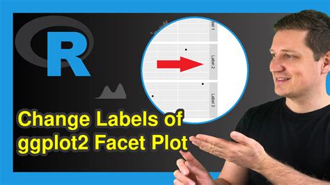 Change Labels Of Ggplot2 Facet Plot In R Modify Replace Names