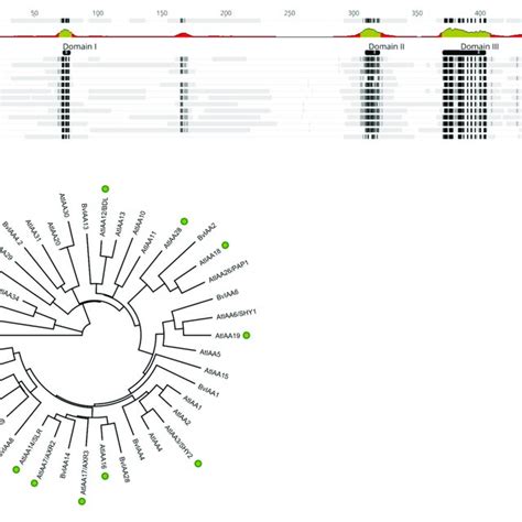 a multiple sequence alignment geneious 2020 1 software of all iaa download scientific